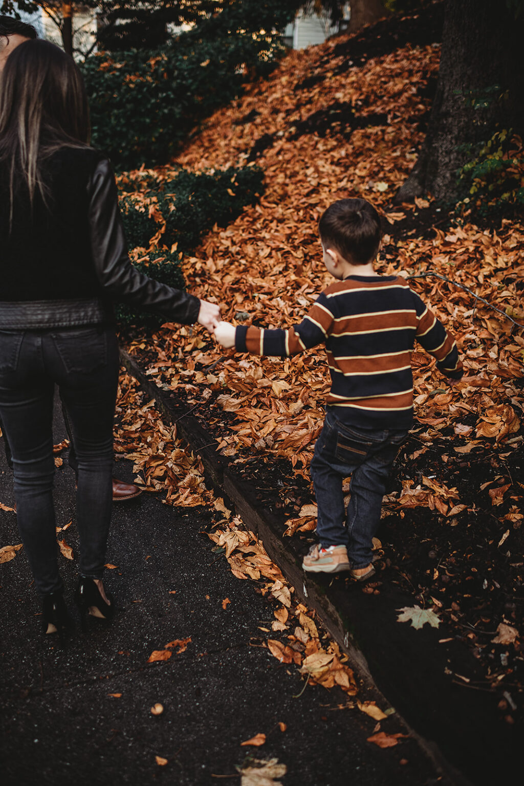 FAQs For Family Sessions For Baltimore Photographers ...