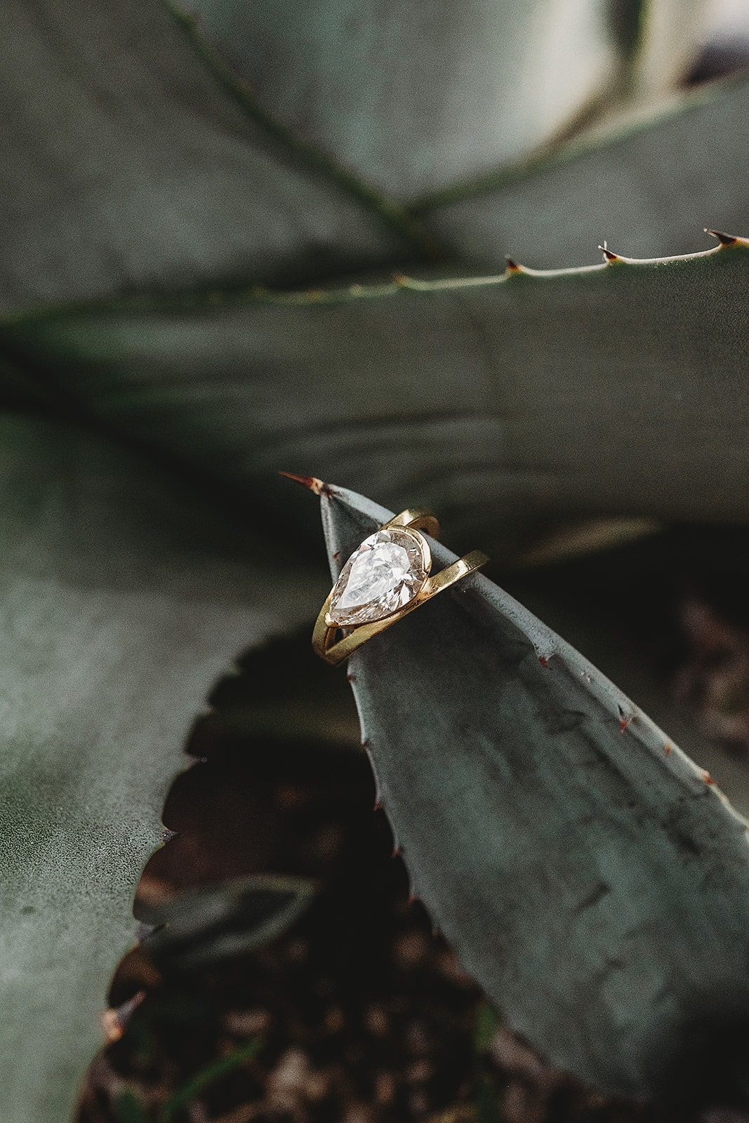 Washington DC Engagement Photos - brittanydunbarphotography.com